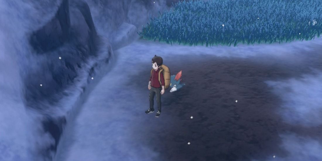 Pokemon Sword & Shield: Every Item You Can Only Get From Wild Pokemon