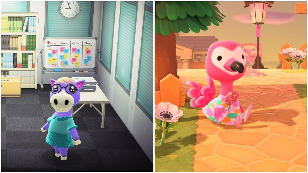 Which Animal Crossing Character Shares Your Birthday In February?