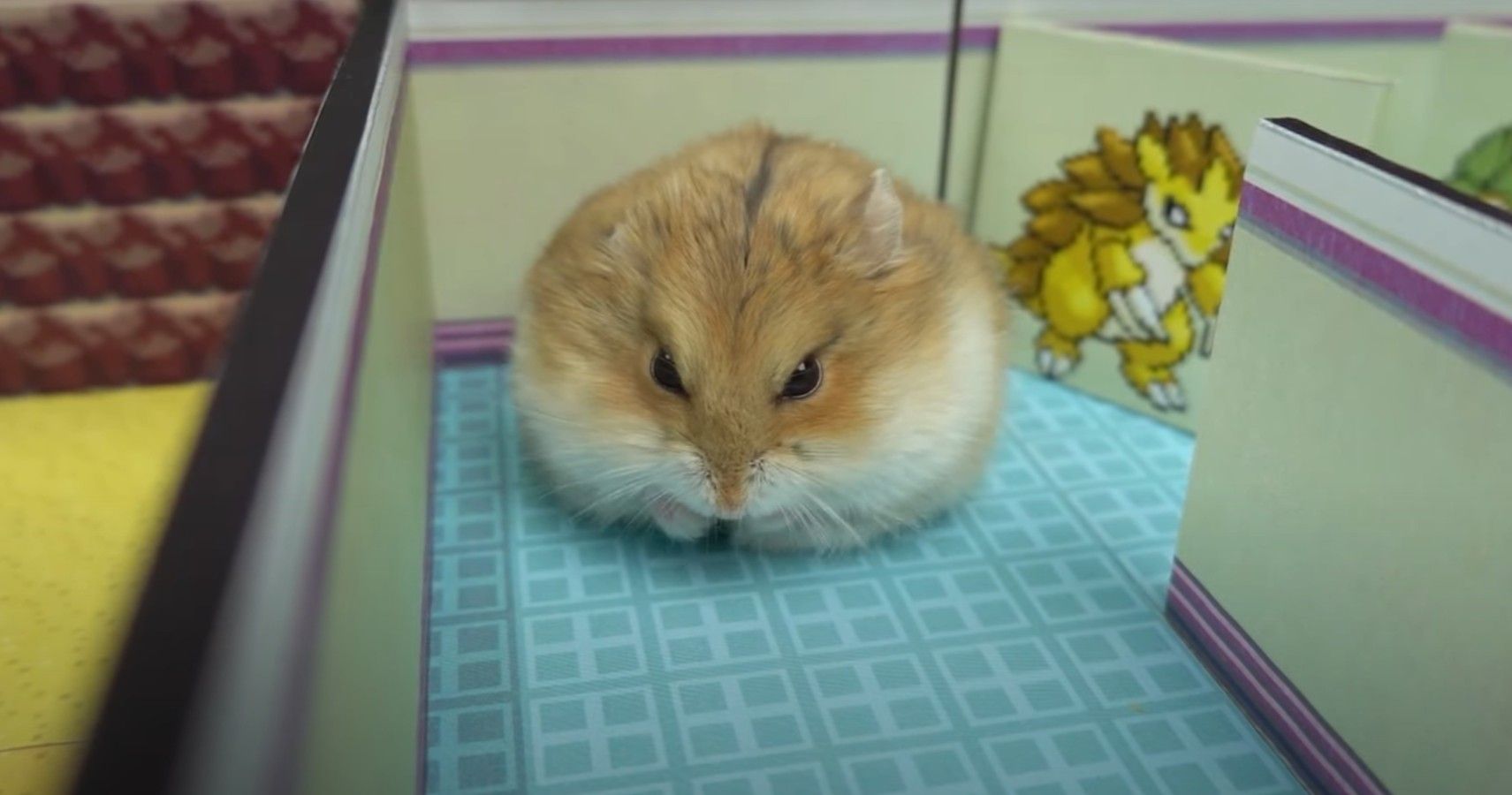 Watch A Hamster Battle A Swarm Of Beedrill In This Incredibly Detailed ...