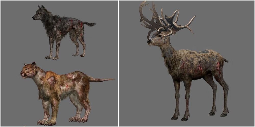 10 Things You Didn't Know About Days Gone