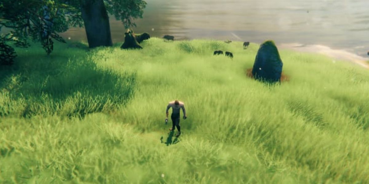 Valheim: A Guide To The Meadows Biome