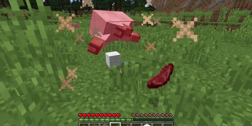 Minecraft: Every Food Item's Hunger And Saturation Values