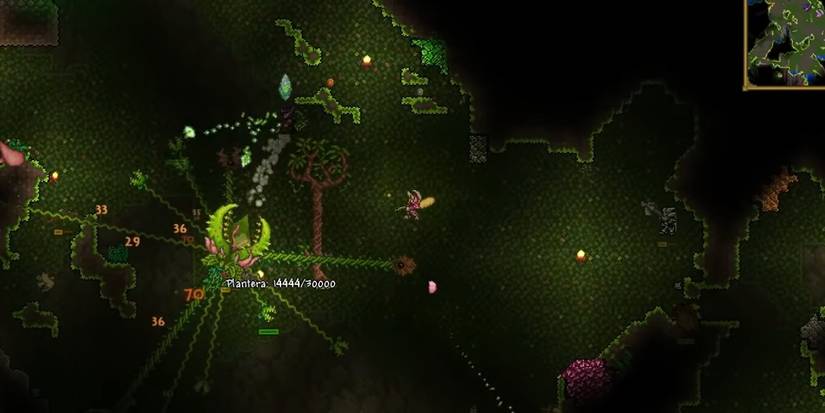 Terraria: Best Summoner Build In Terraria 1.4