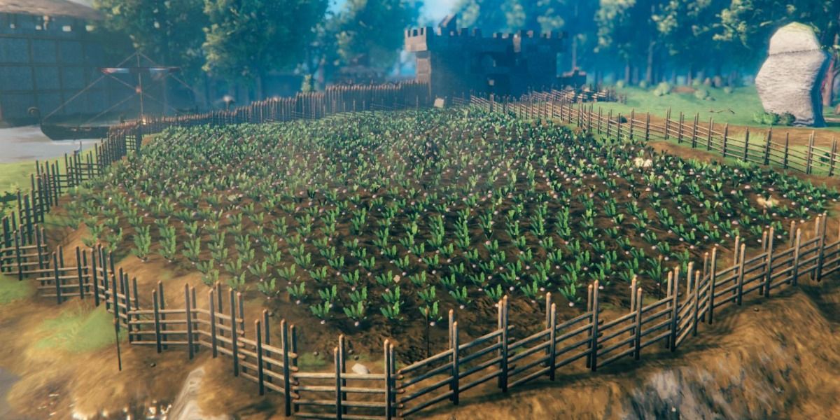 Valheim: 11 Tips For Creating The Best Farm