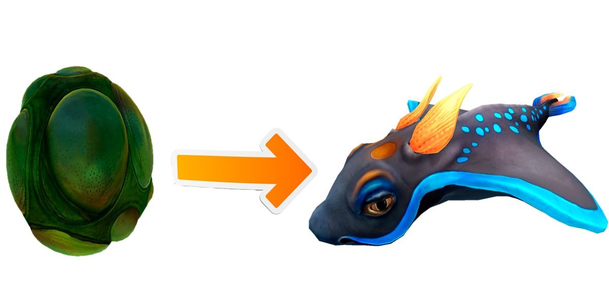 Every Creature Egg And Where To Find Them In Subnautica
