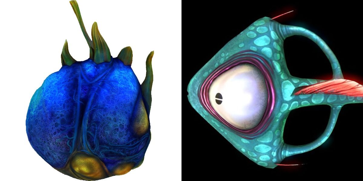 Every Creature Egg And Where To Find Them In Subnautica
