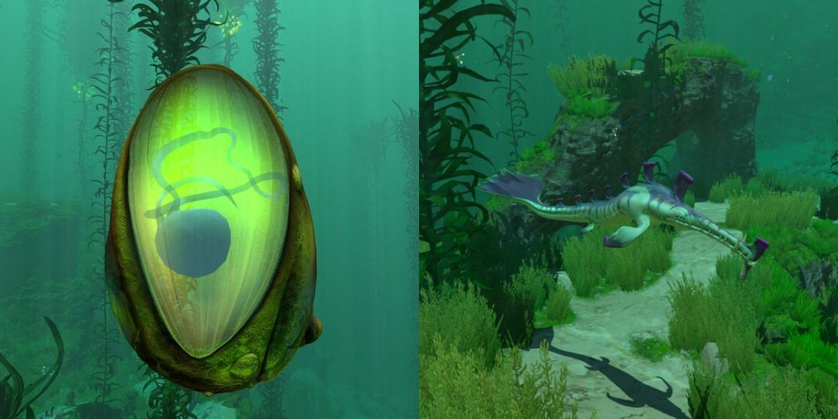 Every Creature Egg And Where To Find Them In Subnautica