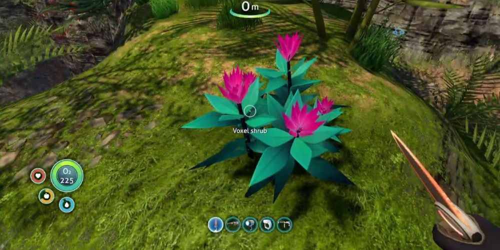 Subnautica: All Of The Growable Plants (And What They Give You)