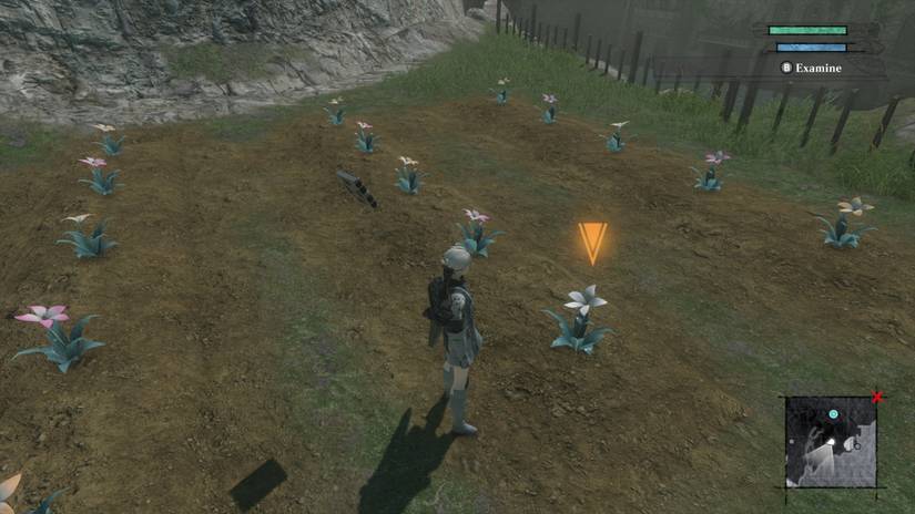 How To Grow The White Moonflower Legendary Flower In Nier Replicant