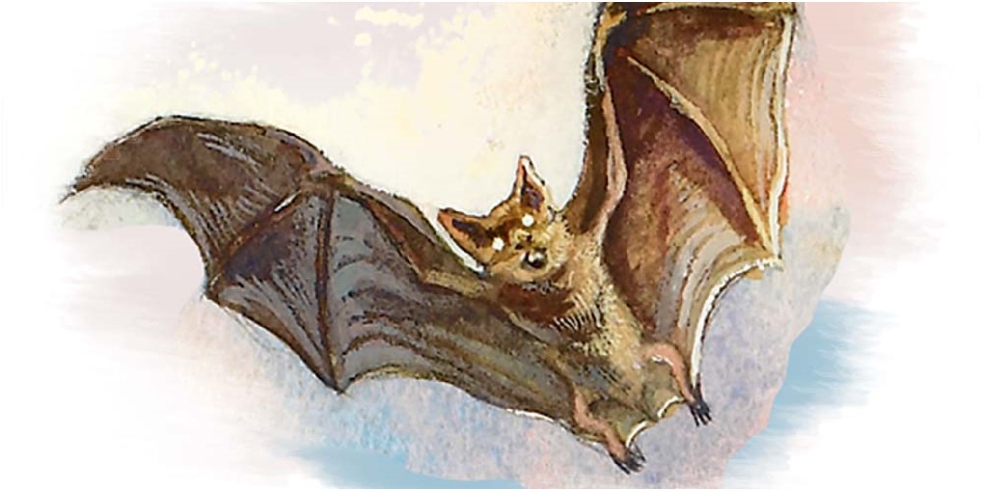 Best Familiars In Dungeons & Dragons