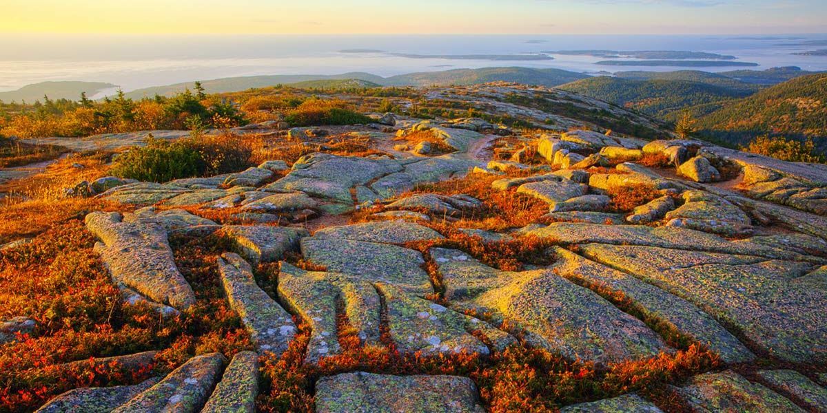 Fallout 4: 10 Things You Missed About Acadia