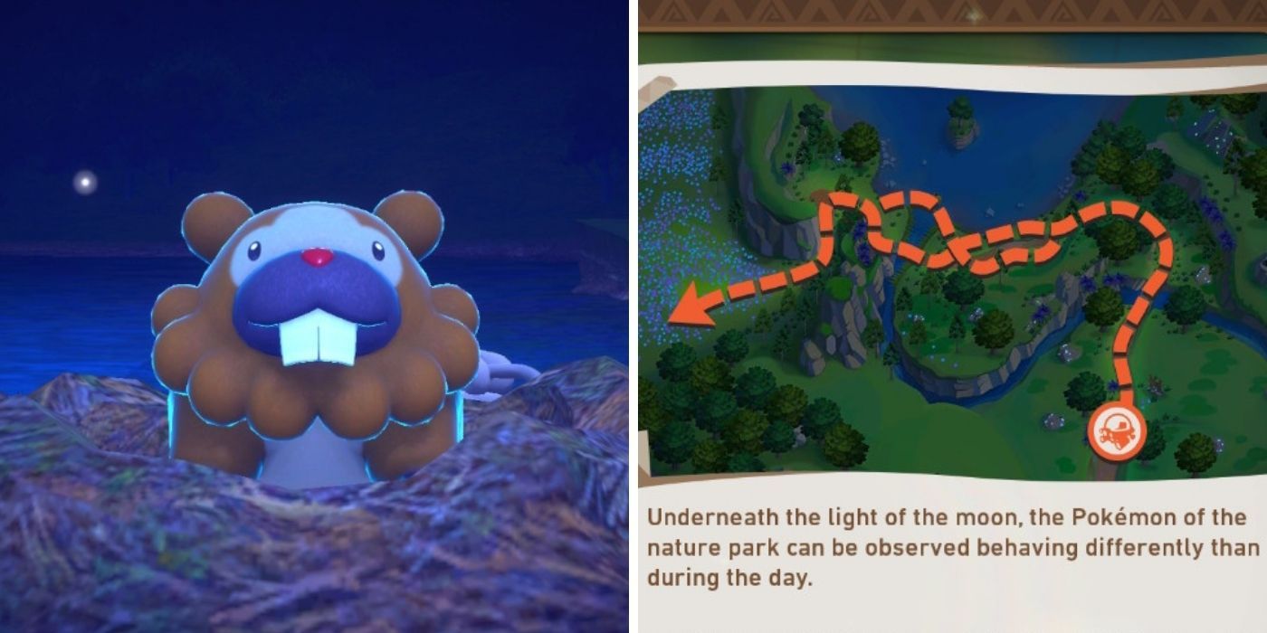 New Pokemon Snap: Every Course, Ranked