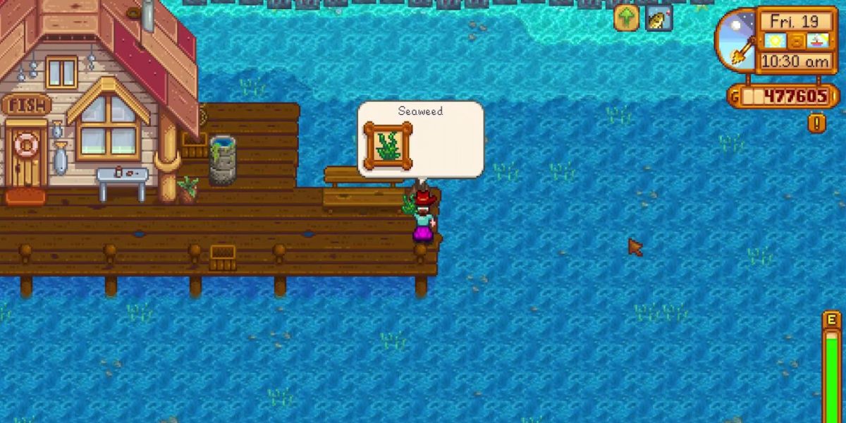 Reasons To Choose The Beach Farm In Stardew Valley