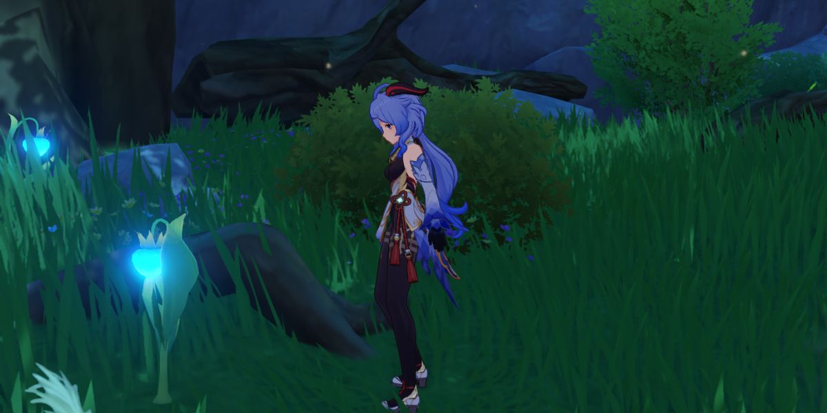 Genshin Impact: The 10 Best Plants To Forage