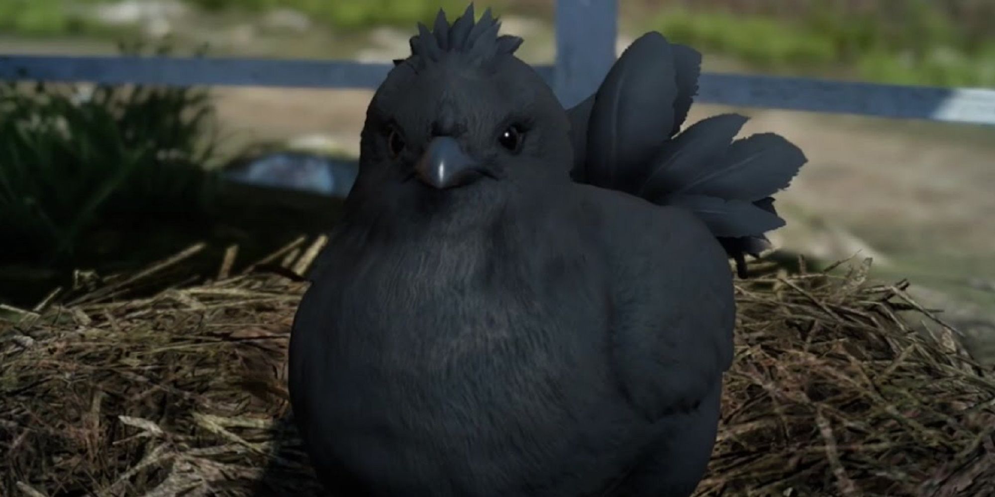 Final Fantasy 14: 10 Interesting Facts About Ishgard