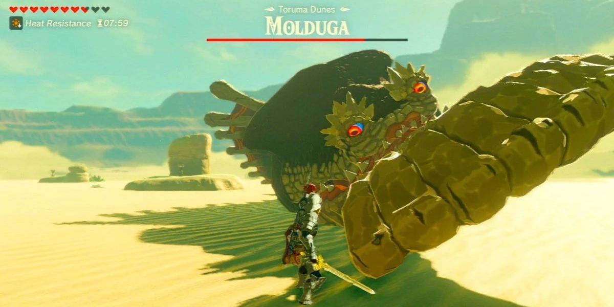 15 Awesome Areas in The Legend of Zelda: Breath of the Wild You Had NO ...