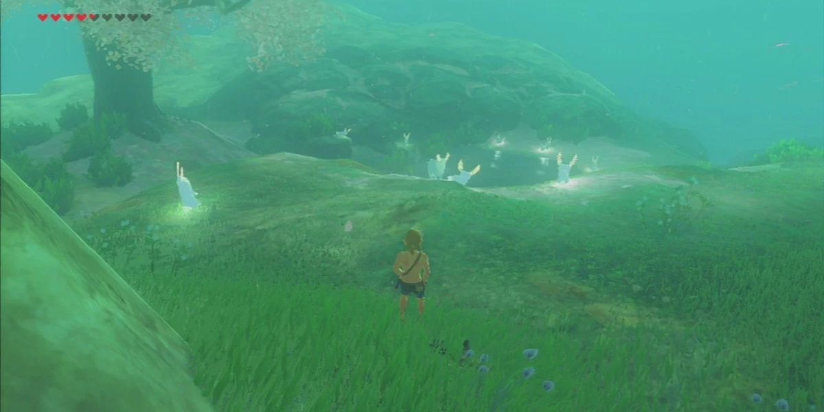 15 Awesome Areas in The Legend of Zelda: Breath of the Wild You Had NO ...