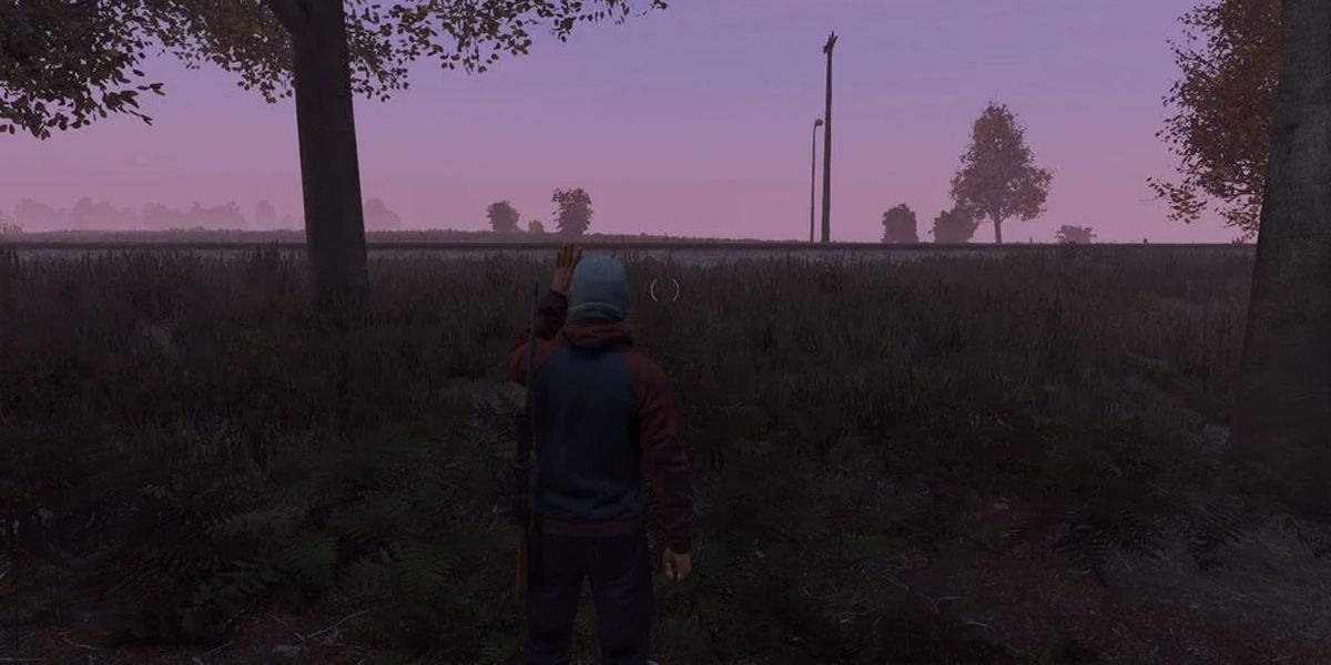 DayZ Beginner Tips