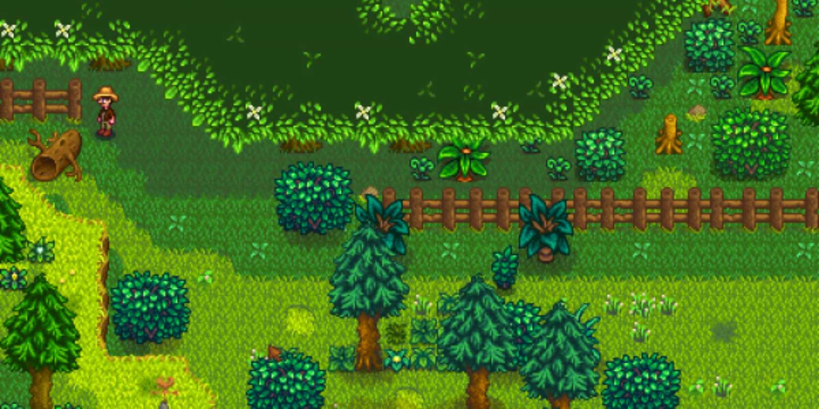 How To Get Into The Secret Woods In Stardew Valley
