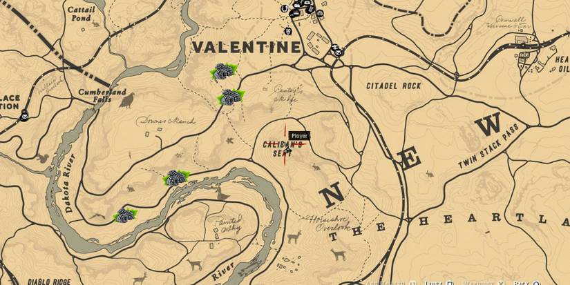 Where To Find Blackberries In RDR2