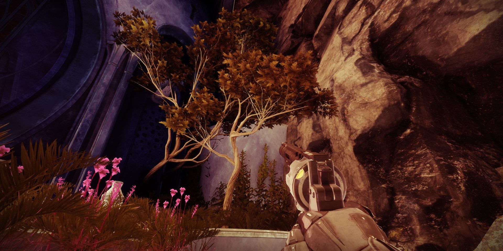 Destiny 2: How To Get "A Small Gift" And Every Cat Statue To Use Them At