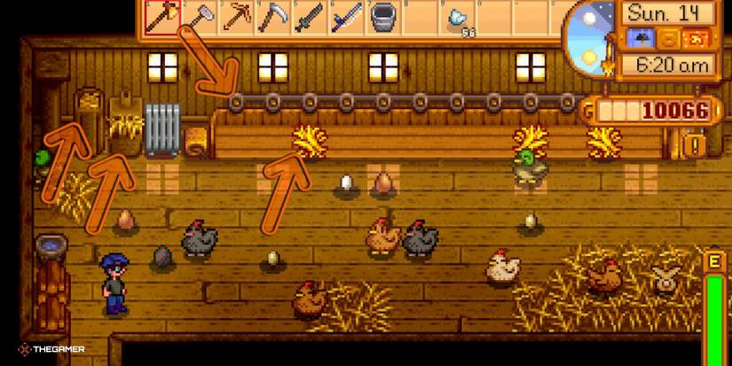 How To Build And Upgrade Coops In Stardew Valley