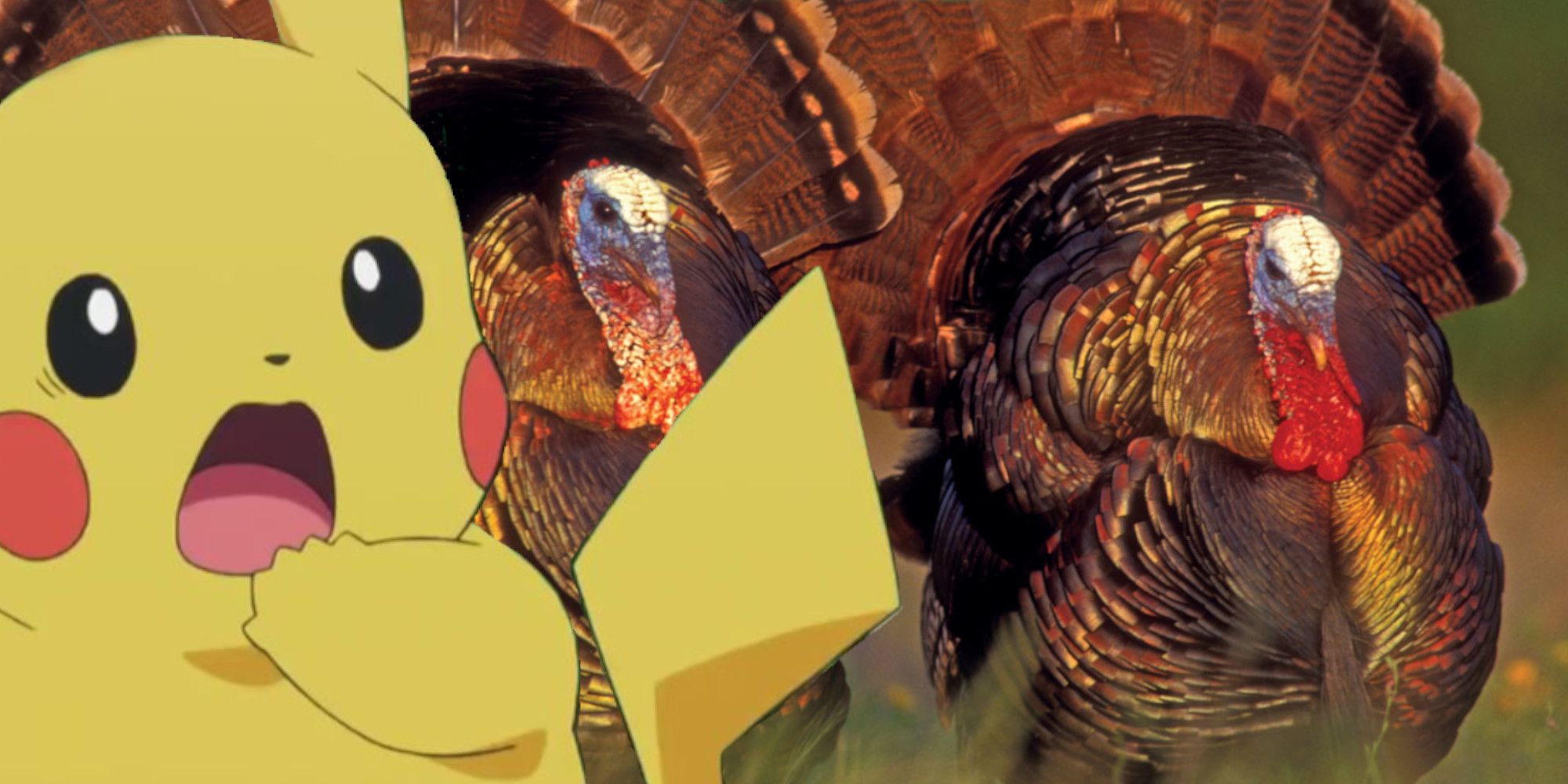 No More Fish Pokemon Until They Give Us A Turkey