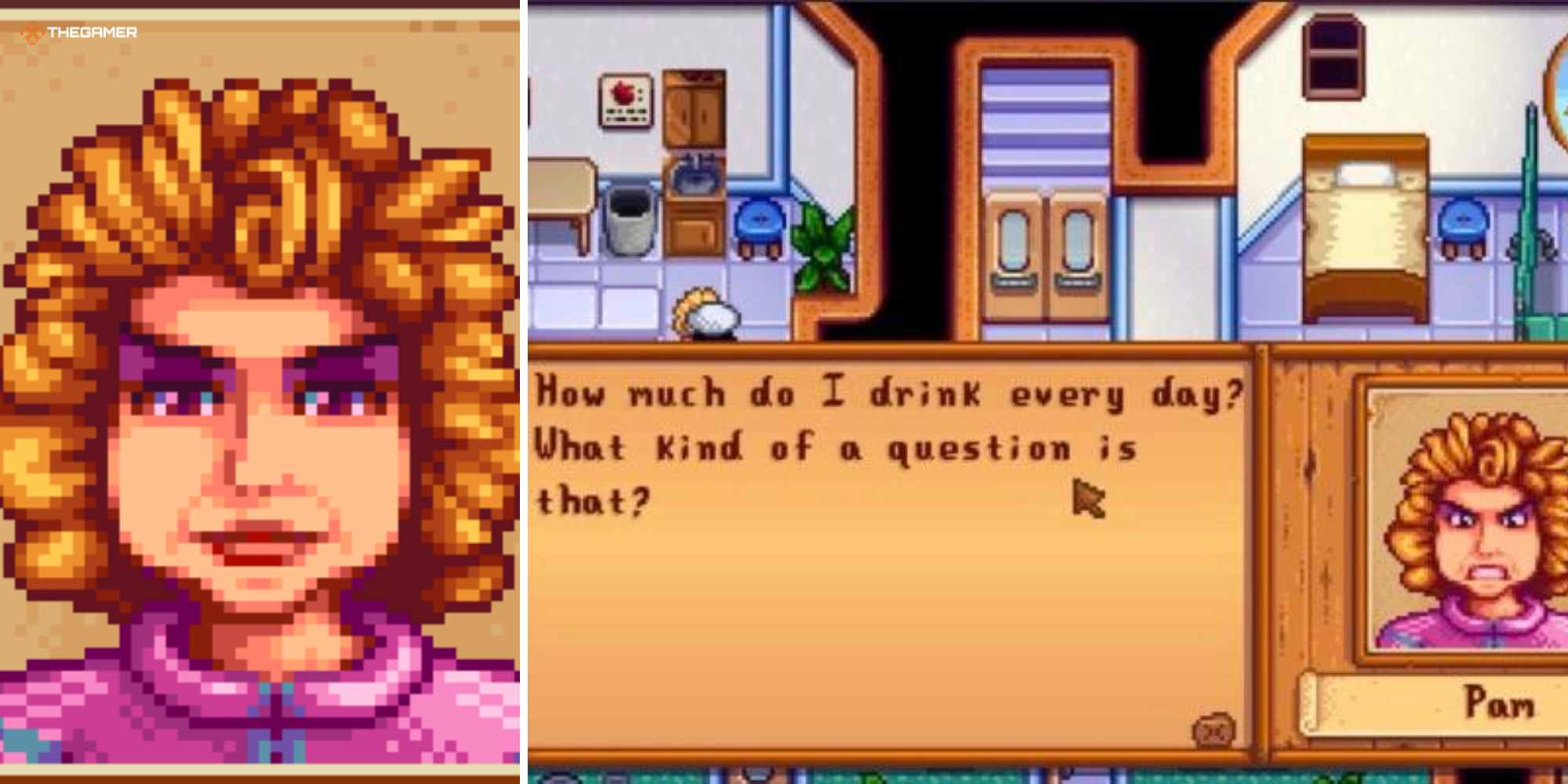 Stardew Valley: Every Main Character’s Age, Height, And Birthday