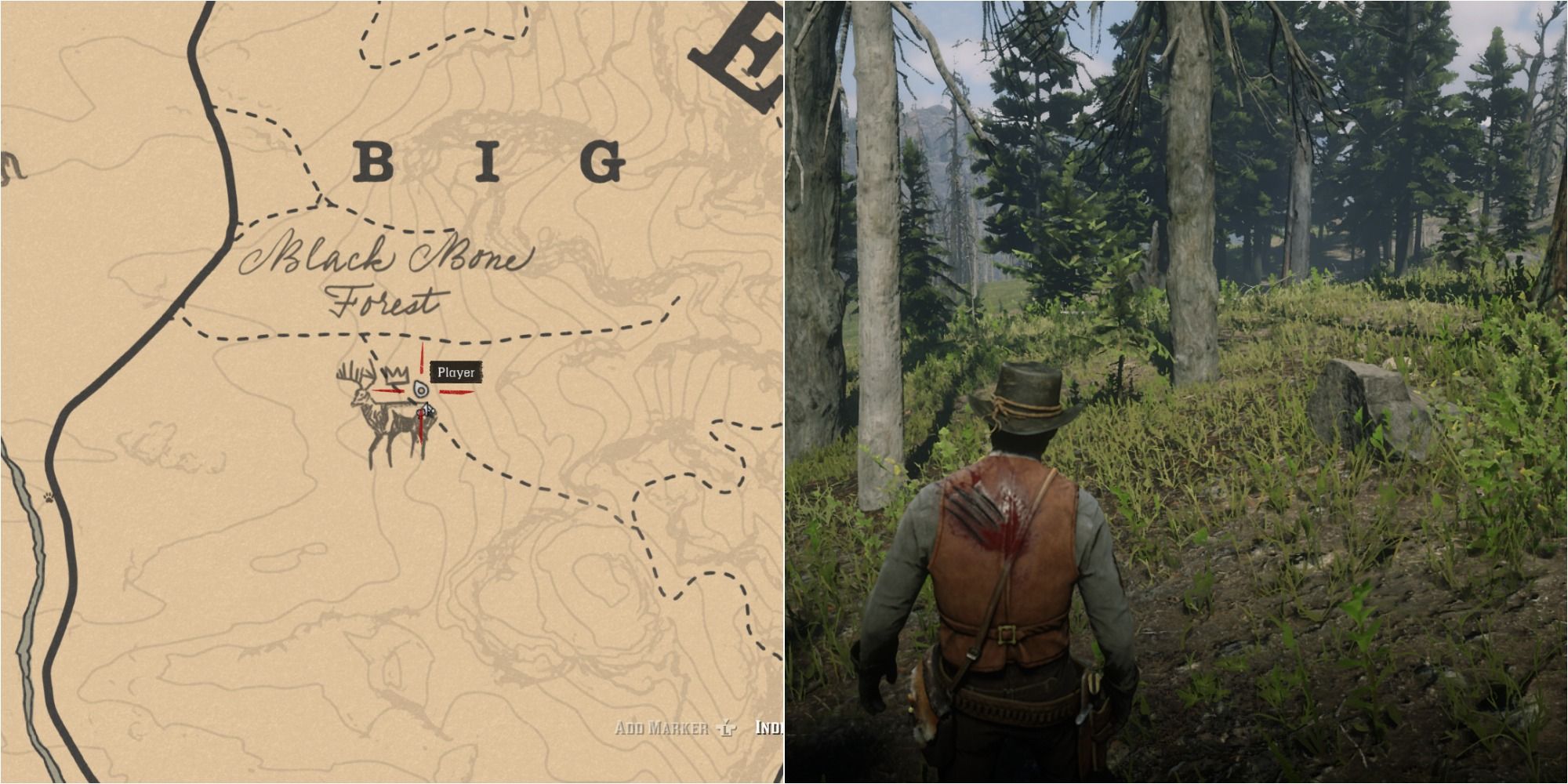 Red Dead Redemption 2: All Lady Slipper Orchid Locations