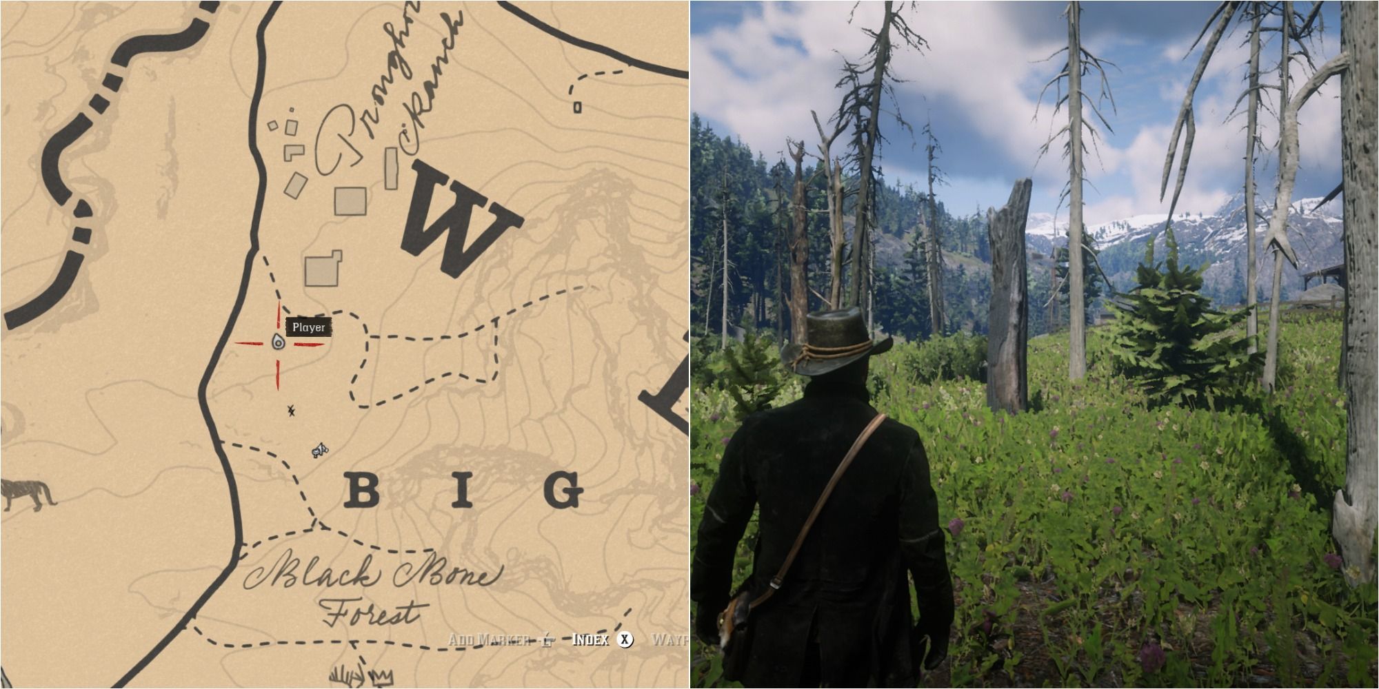 Red Dead Redemption 2: All Lady Slipper Orchid Locations