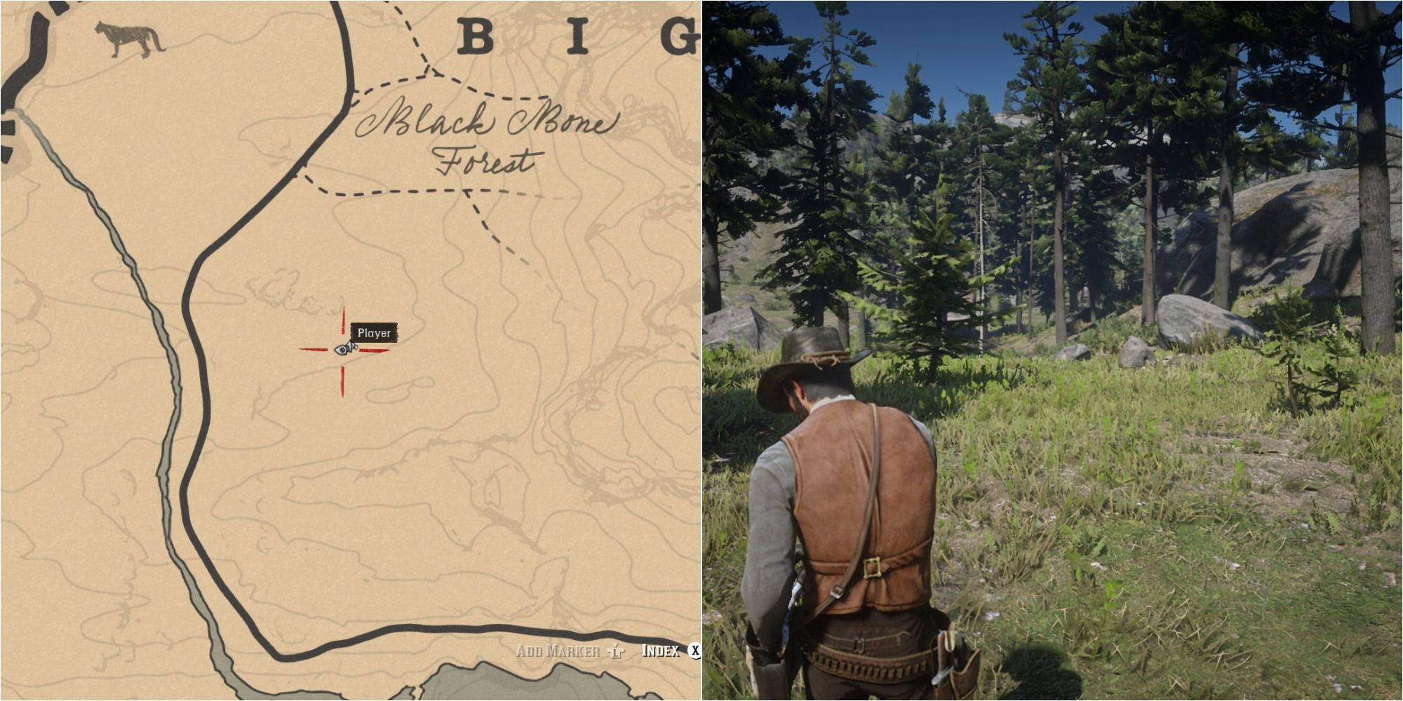 Red Dead Redemption 2: All Lady Slipper Orchid Locations