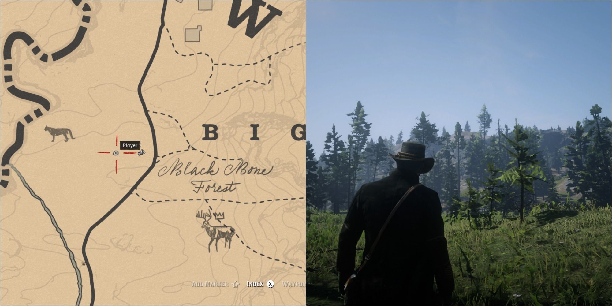 Red Dead Redemption 2: All Lady Slipper Orchid Locations
