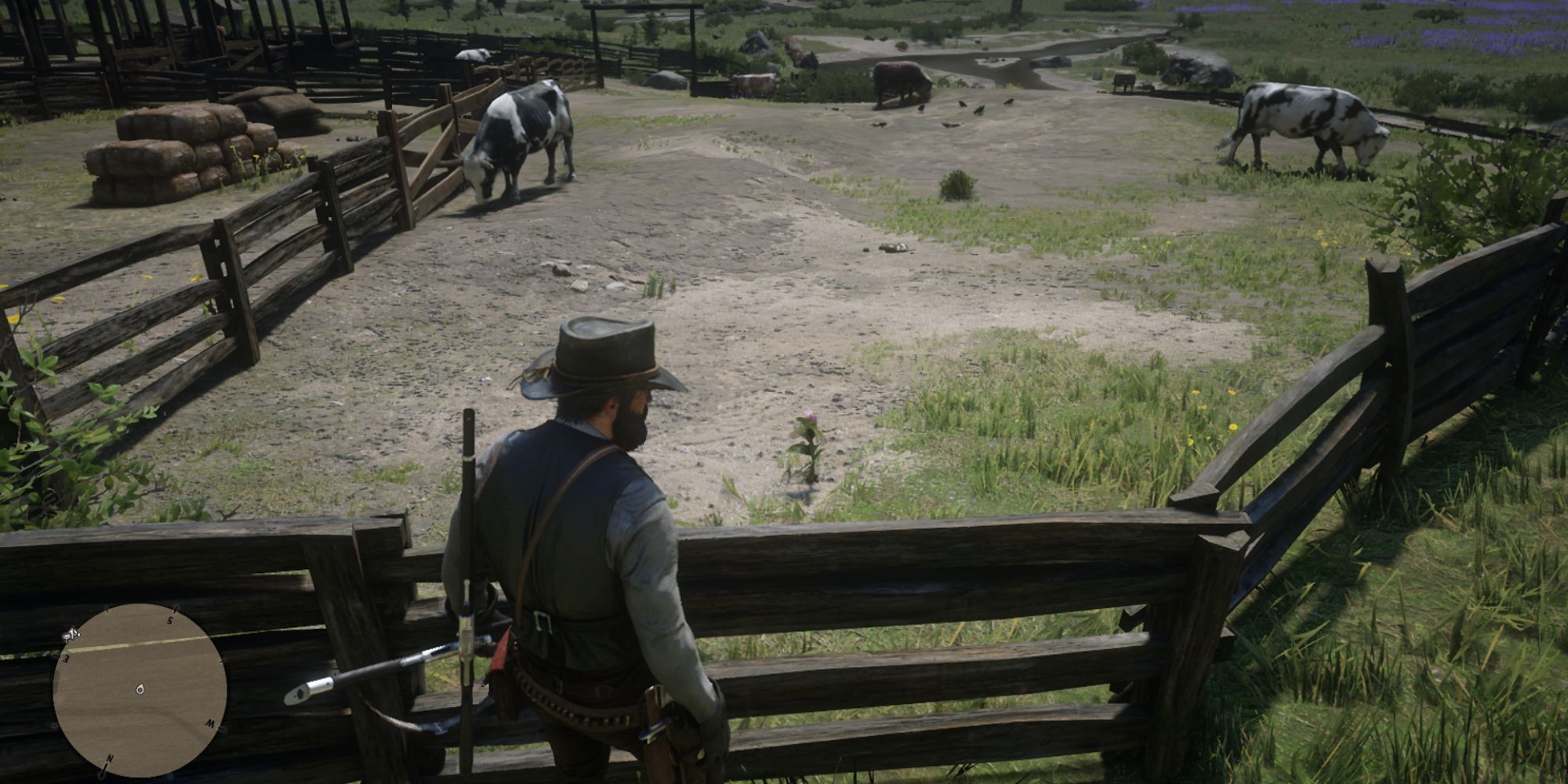 Red Dead Redemption 2: All Lady Slipper Orchid Locations