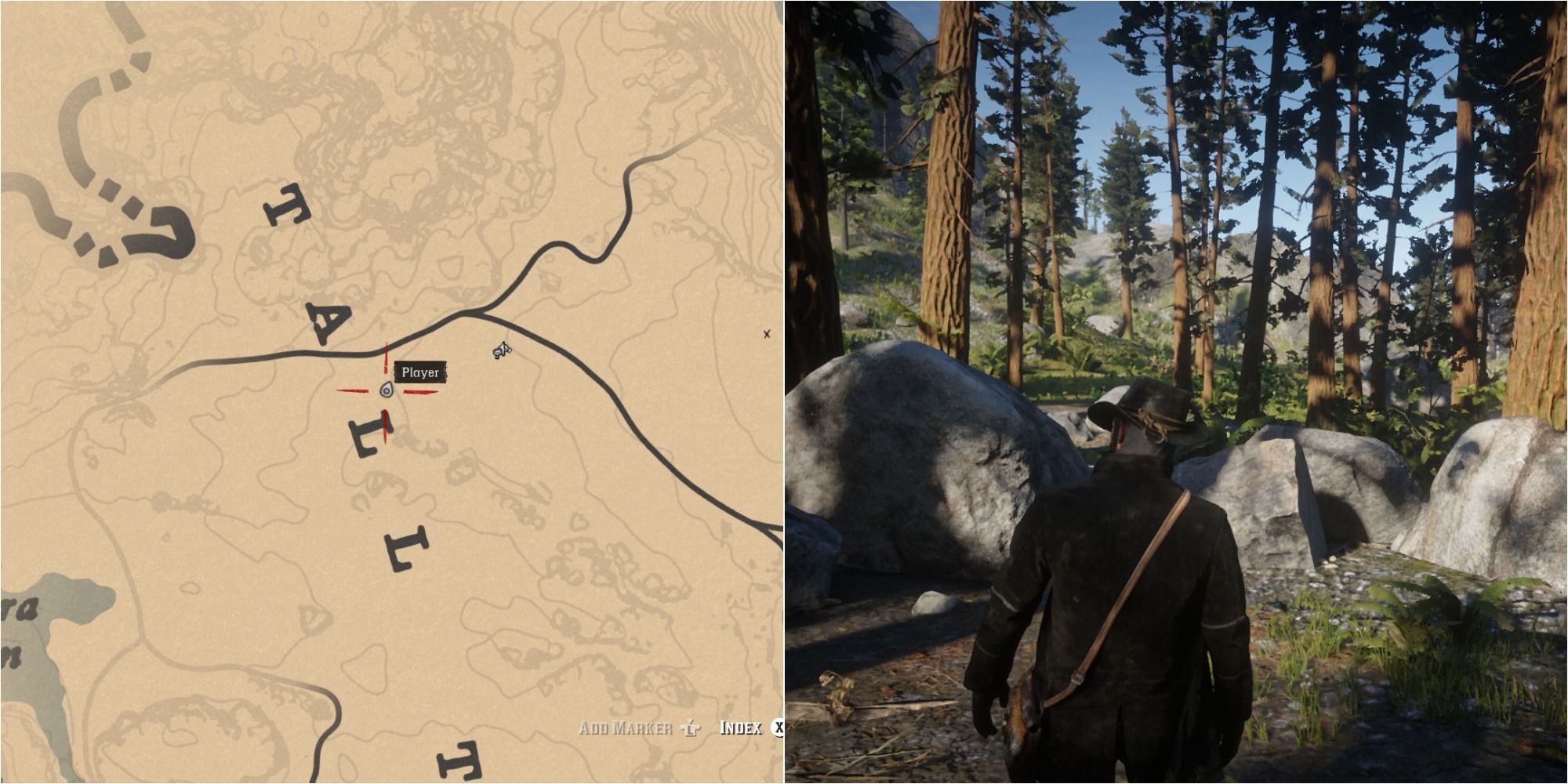 Red Dead Redemption 2: All Lady Slipper Orchid Locations
