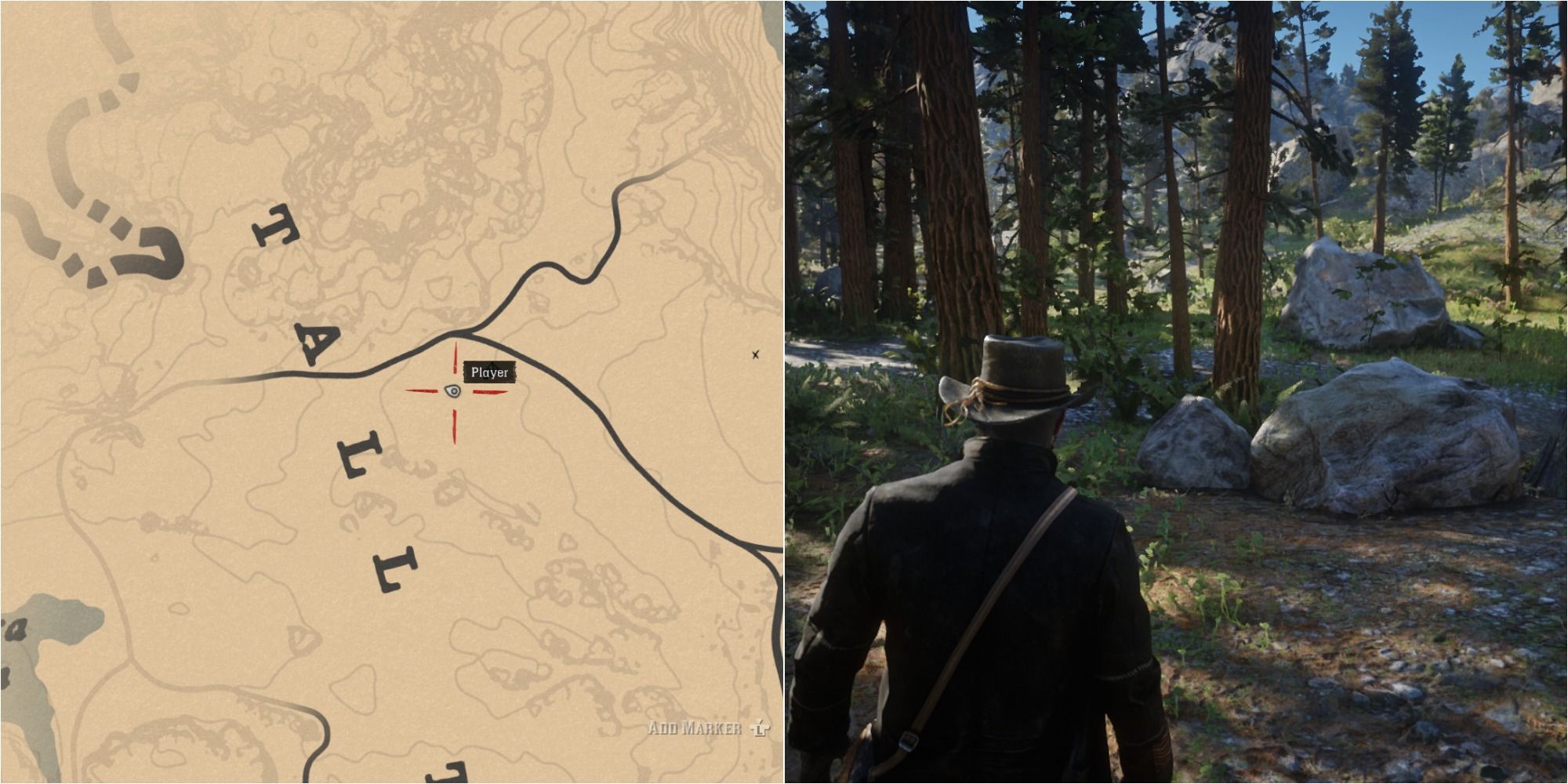 Red Dead Redemption 2: All Lady Slipper Orchid Locations