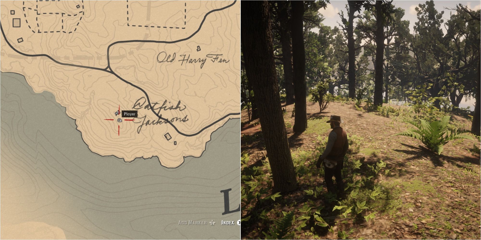How To Find Every Night Scented Orchid In Red Dead Redemption 2