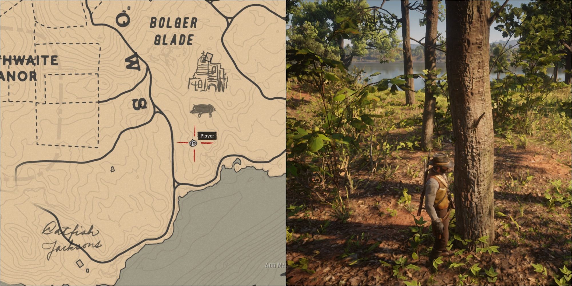 How To Find Every Night Scented Orchid In Red Dead Redemption 2