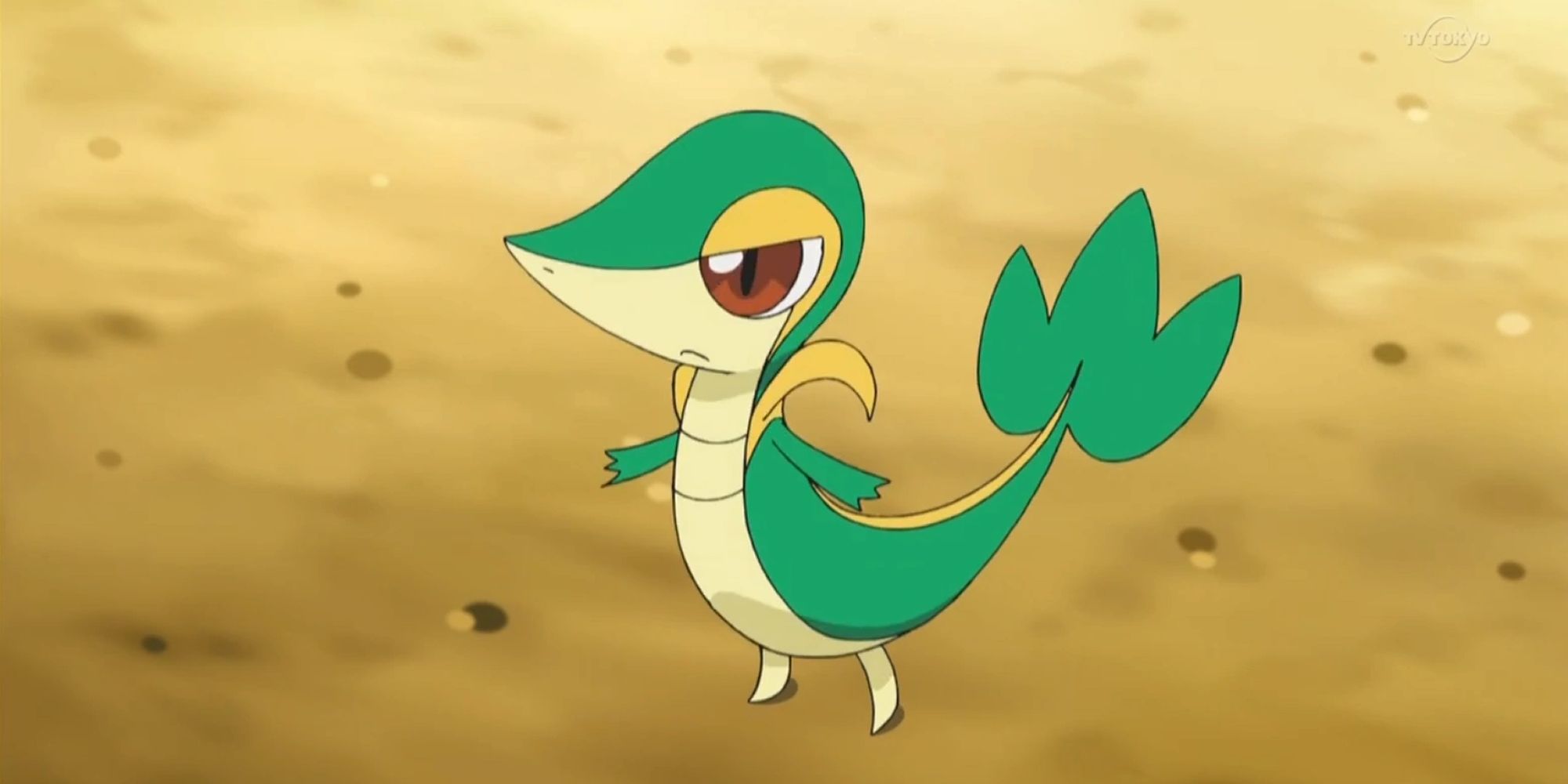 Pokemon: All The Grass-Starters Ranked By Cuteness
