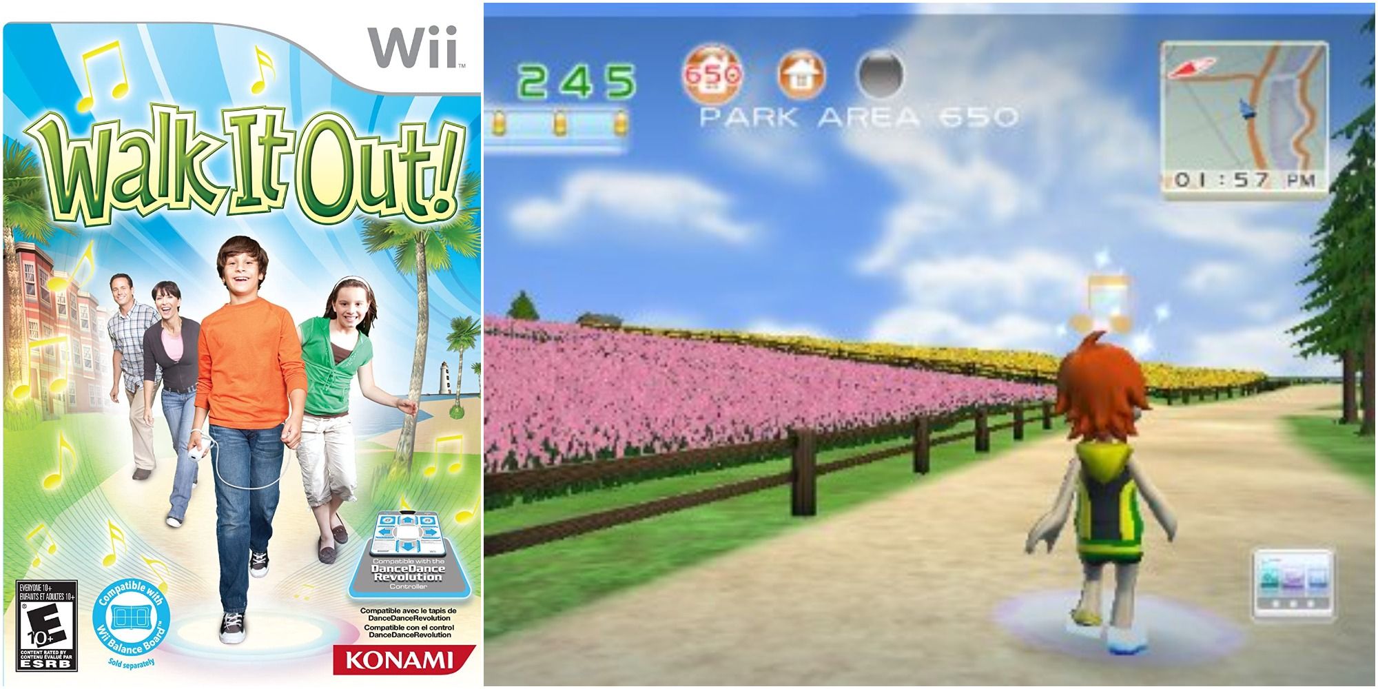 The 14 Rarest Wii Games And How Much They're Worth