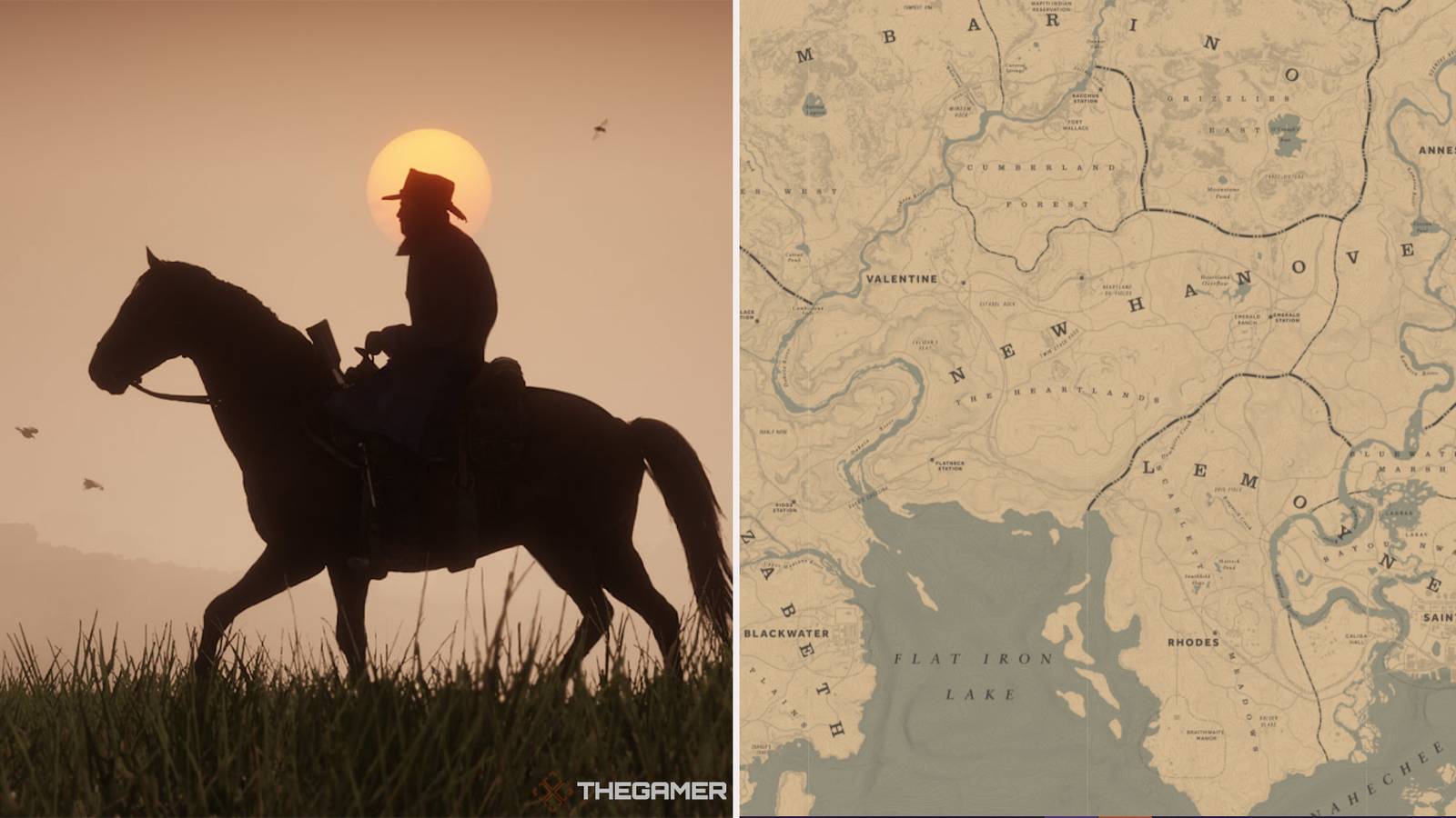 Red Dead Online: Best Cardinal Hunting Locations