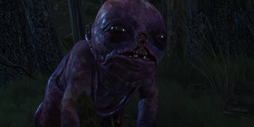 All The Leads To Investigate In Family Matters In The Witcher 3