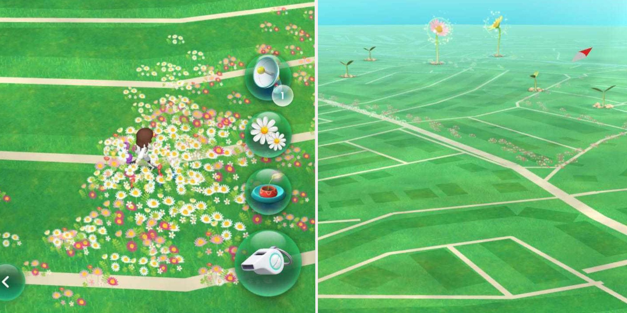 Pikmin Bloom: What Should You Do With Big Flowers?