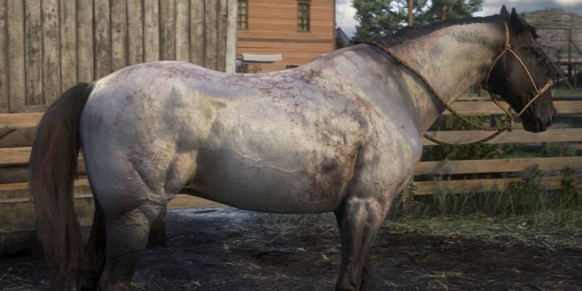 The Best Horse Breeds In RDR2