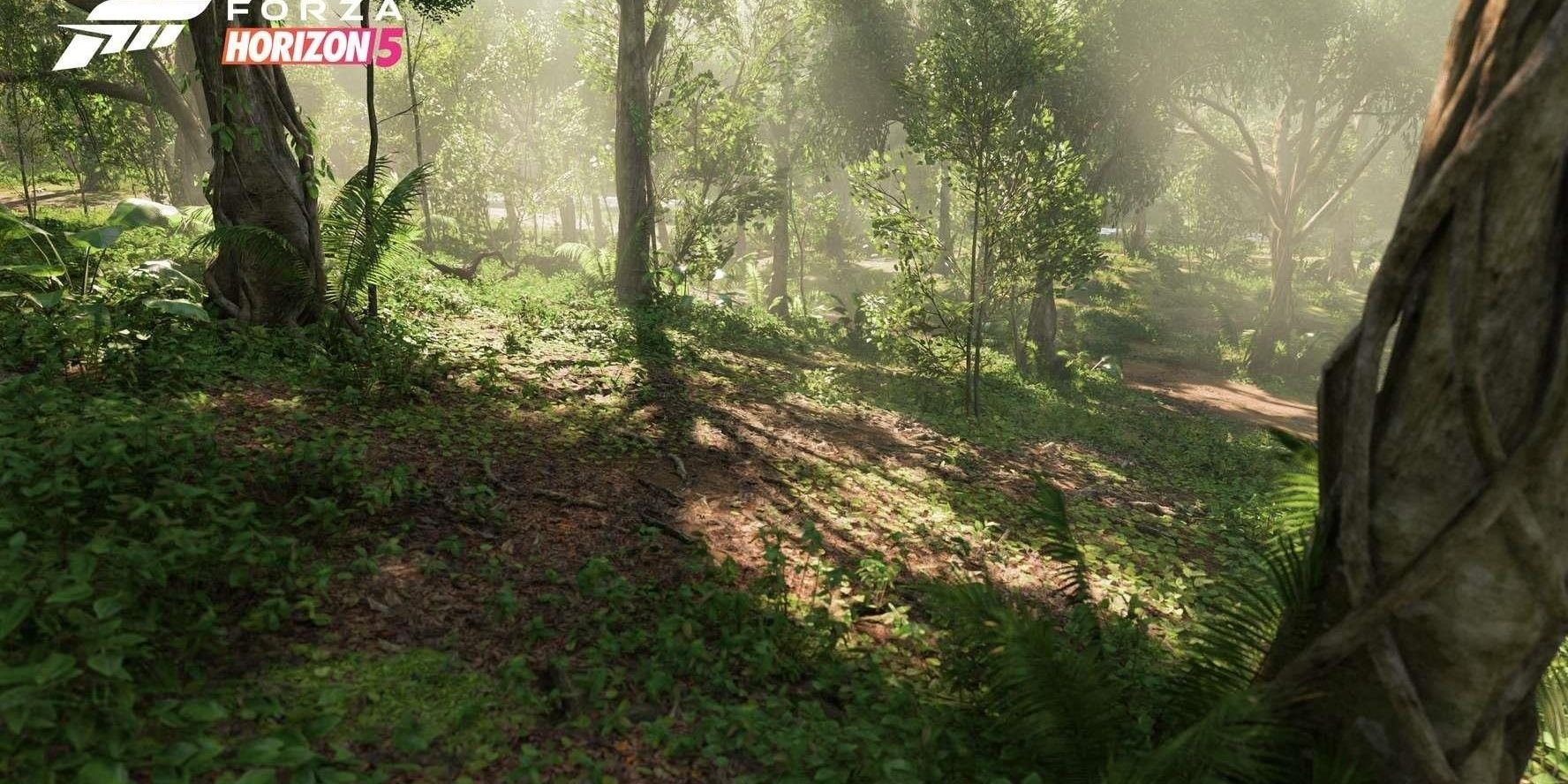 Forza Horizon 5: 8 Tips To Win The Eliminator