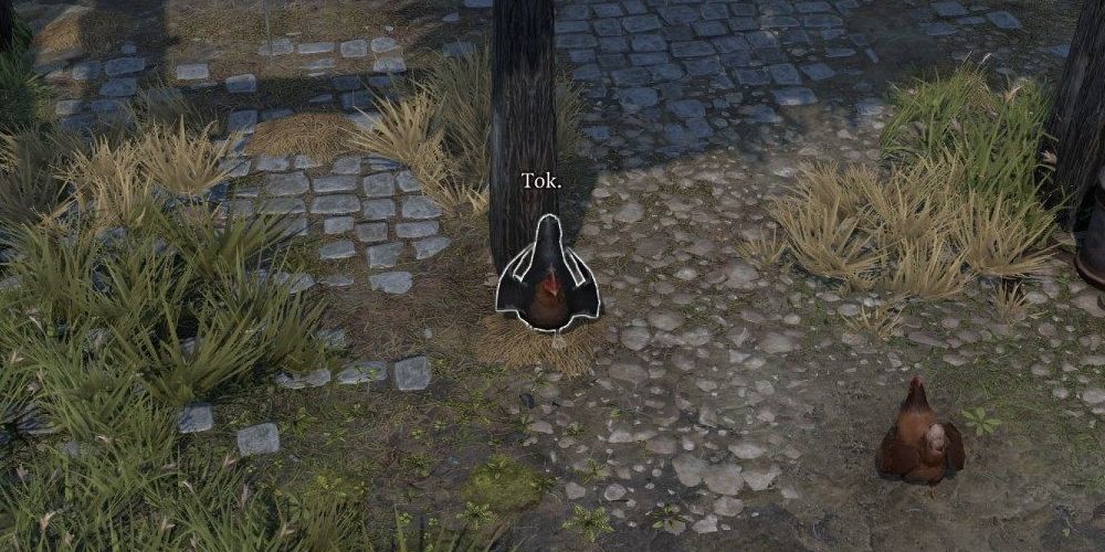 How To Complete Counting Your Chickens In Divinity Original Sin 2