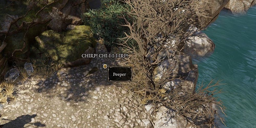 How To Complete Counting Your Chickens In Divinity Original Sin 2
