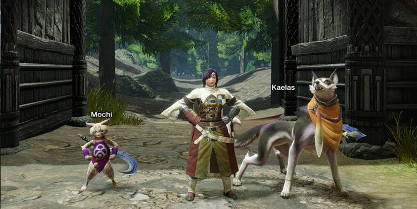 13 Best Dual Blades In MHR