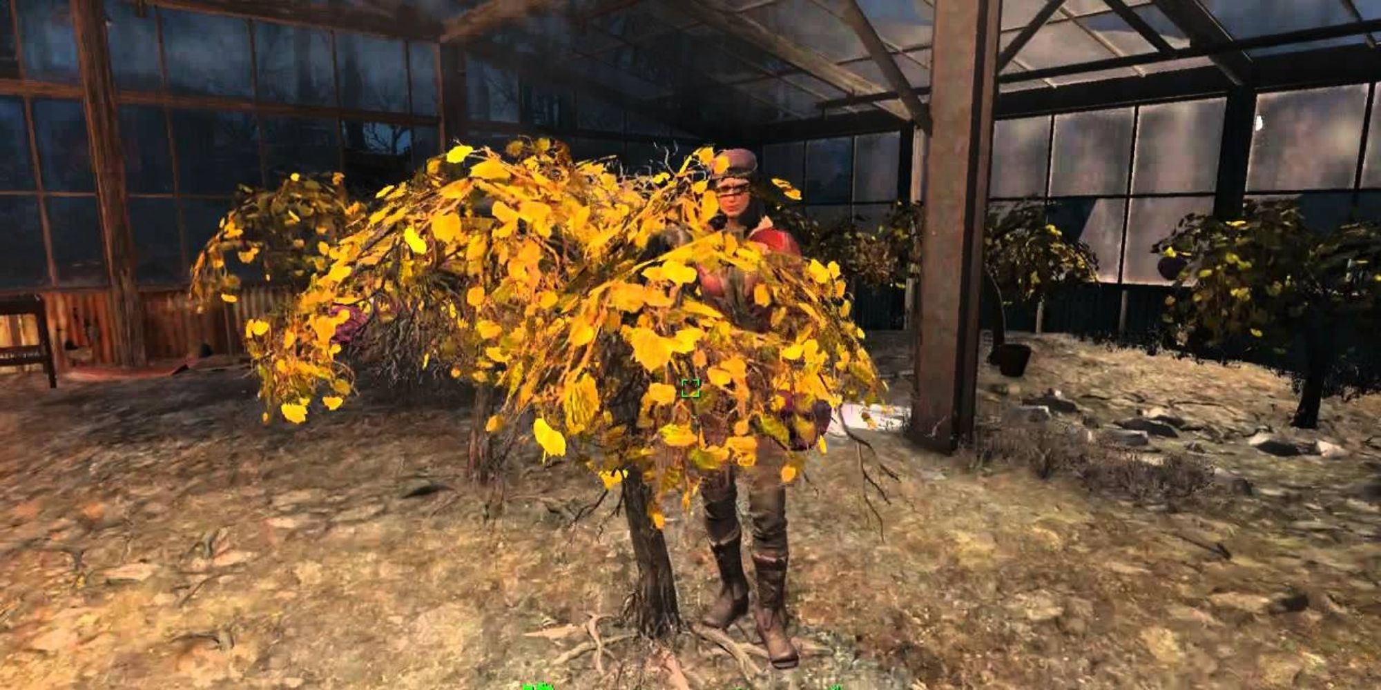 10 Best Fictional Fruits In Video Games