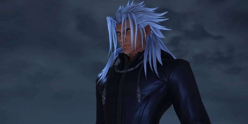 The Origins Of Organization XIII In Kingdom Hearts, Explained