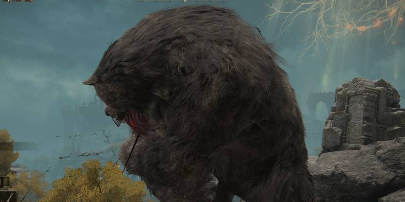 What Are Larval Tears And How To Use Them In Elden Ring